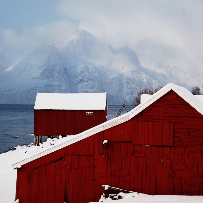 Red in winter photo on Sunsurfer