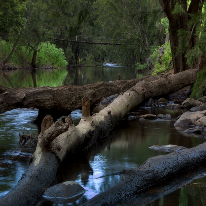 Swinging Bridge, Goodradigbee River Valley, New South Wales, Australia ...