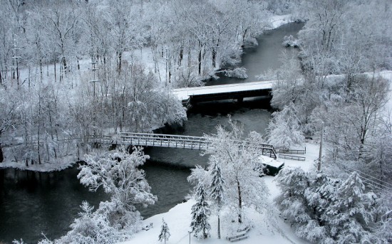 Winter in Ann Arbor, Michigan photo on Sunsurfer