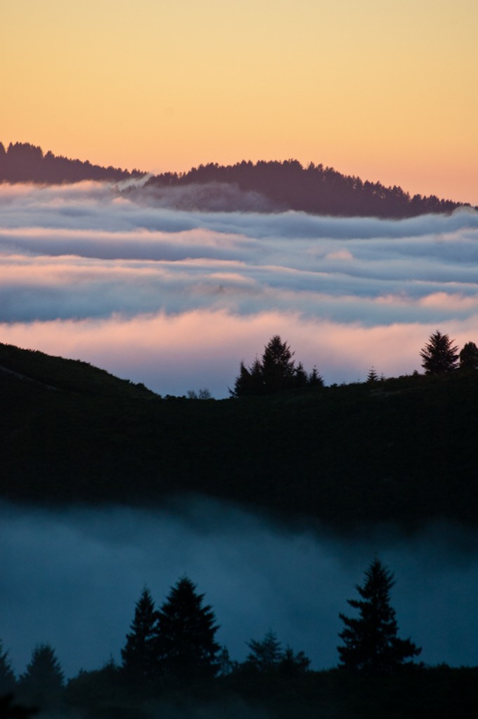 Santa Cruz Mountains, California, USA photo on Sunsurfer