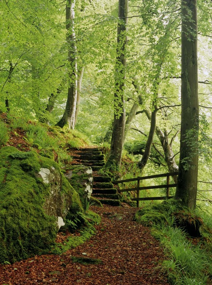 Allen Banks, Northumberland, United Kingdom photo on Sunsurfer