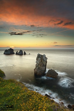 Spring on the seashore photo on Sunsurfer