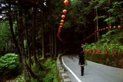 Alishan, Taiwan photo on Sunsurfer