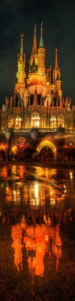 The Magical Castle, San Francisco photo on Sunsurfer
