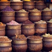 Spices photo on Sunsurfer