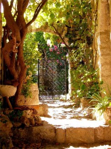 Garden Gate, Provence, France photo on Sunsurfer