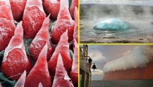 29 Fascinating Photos You’ve Probably Never Seen Before photo on Sunsurfer