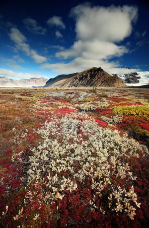 Skaftafell National Park, Ireland photo on Sunsurfer